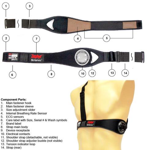 Now Streaming Data from the Zephyr BioHarness 3